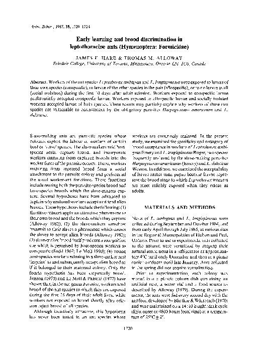 (PDF) Early learning and brood discrimination in leptothoracine ants ...
