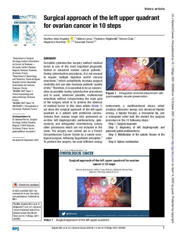 (PDF) Surgical approach of the left upper quadrant for ovarian cancer ...
