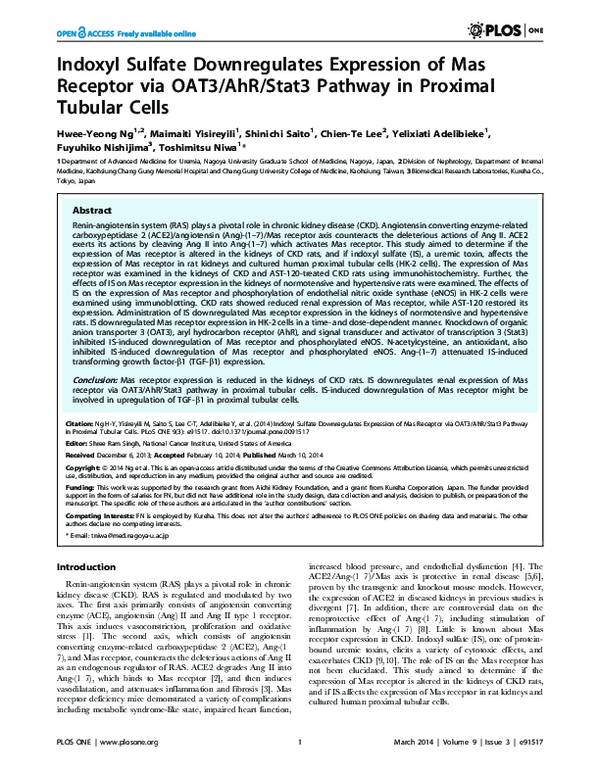 (PDF) Indoxyl Sulfate Downregulates Expression of Mas Receptor via OAT3 ...
