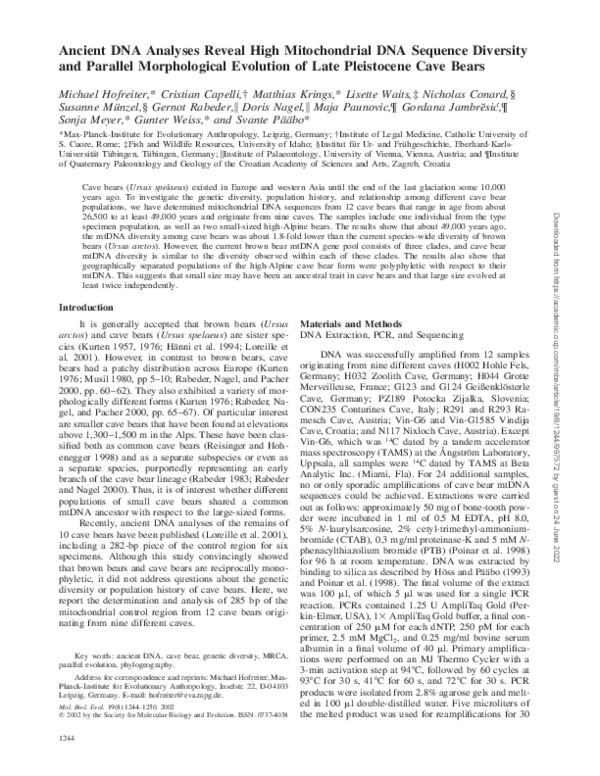 (PDF) Ancient DNA Analyses Reveal High Mitochondrial DNA Sequence ...