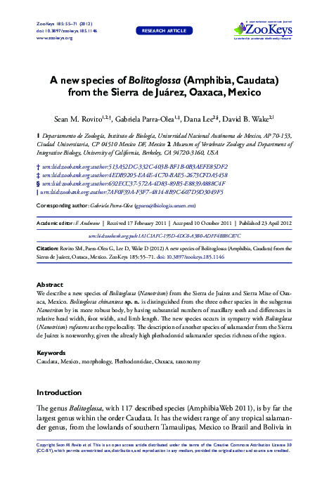 (PDF) A new species of Bolitoglossa (Amphibia, Caudata) from the Sierra ...