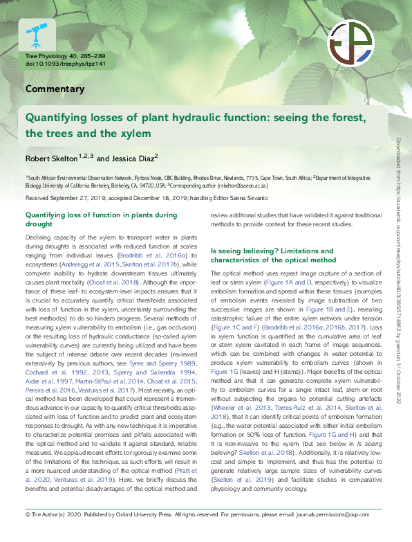 (PDF) Quantifying losses of plant hydraulic function: seeing the forest, the trees and the xylem