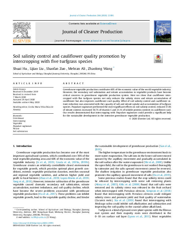 (PDF) Soil salinity control and cauliflower quality promotion by ...