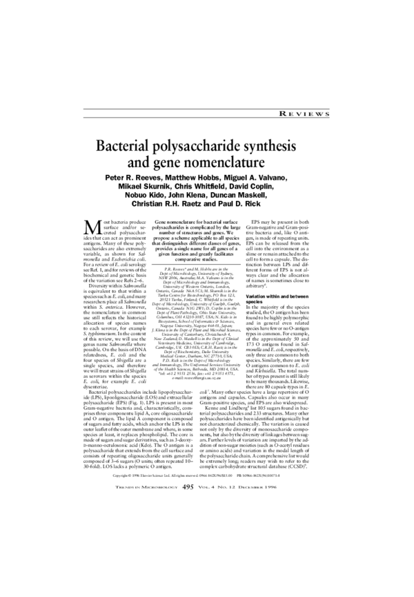 (PDF) Bacterial polysaccharide synthesis and gene nomenclature