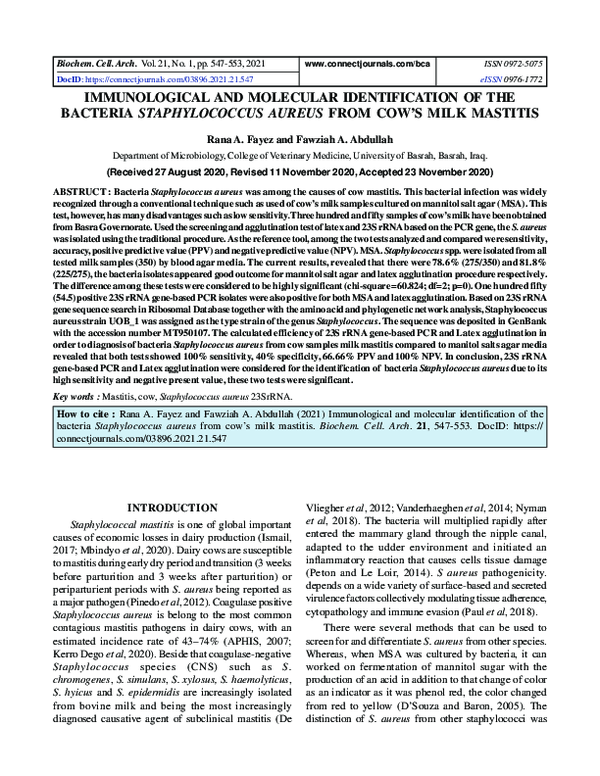 (PDF) IMMUNOLOGICAL AND MOLECULAR IDENTIFICATION OF THE BACTERIA ...