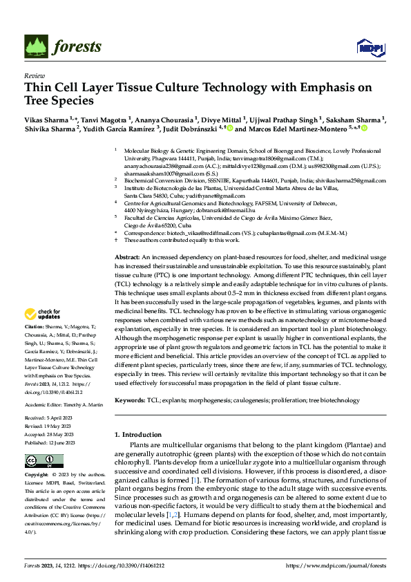 (PDF) Thin Cell Layer Tissue Culture Technology with Emphasis on Tree ...