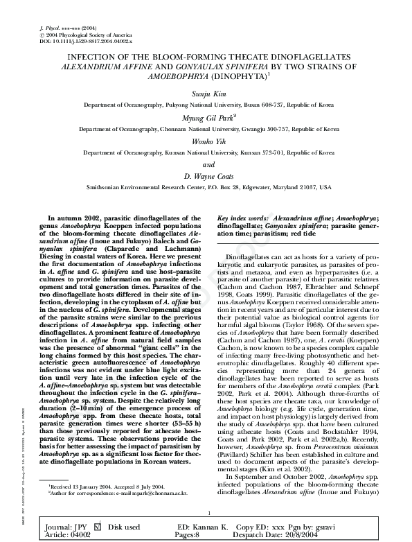 (PDF) Infection of the Bloom-Forming Thecate Dinoflagellates ...