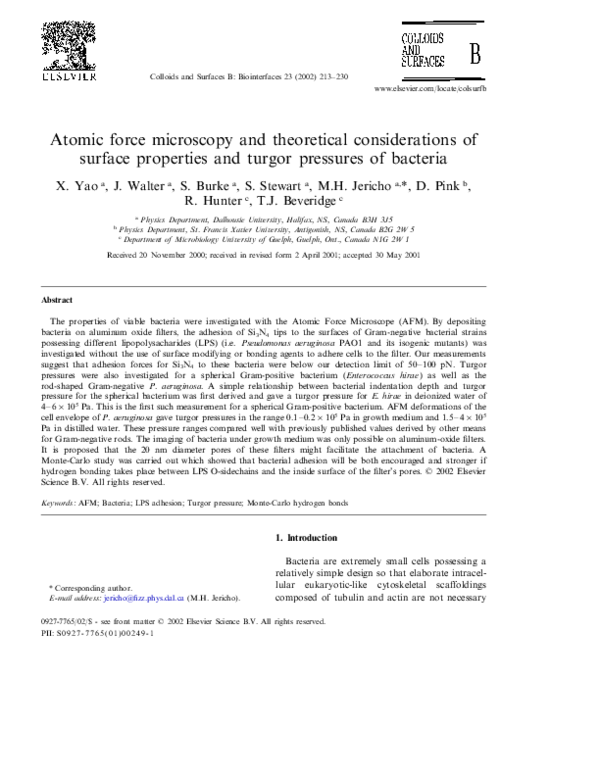 (PDF) Atomic force microscopy and theoretical considerations of surface ...
