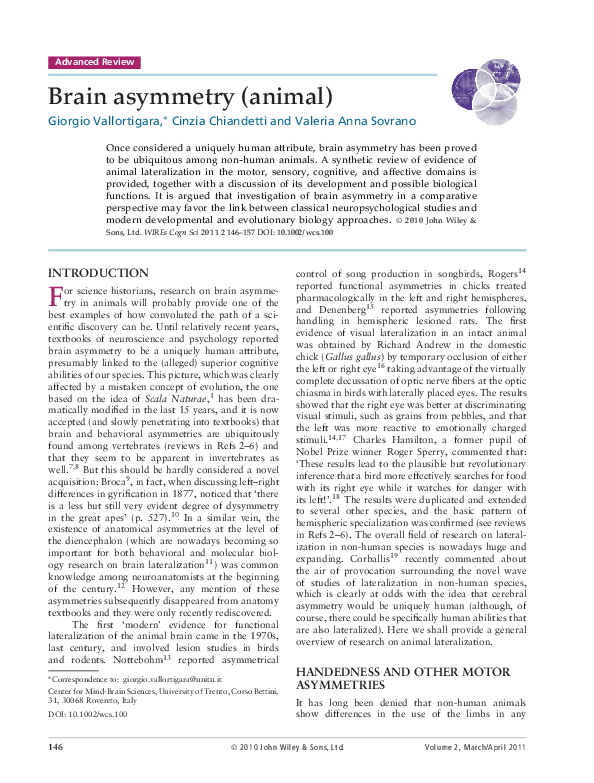 (PDF) Brain asymmetry (animal)