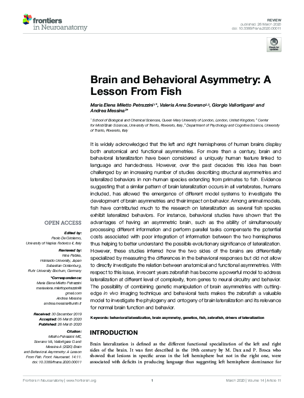 (PDF) Brain and Behavioral Asymmetry: A Lesson From Fish