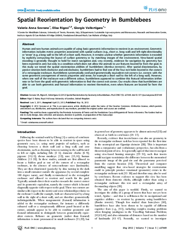 (PDF) Spatial Reorientation by Geometry in Bumblebees