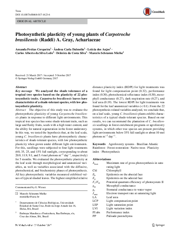 (PDF) Photosynthetic plasticity of young plants of Carpotroche ...