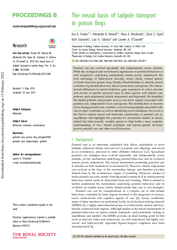 (PDF) The neural basis of tadpole transport in poison frogs