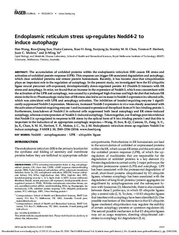 (PDF) Endoplasmic reticulum stress up-regulates Nedd4-2 to induce autophagy