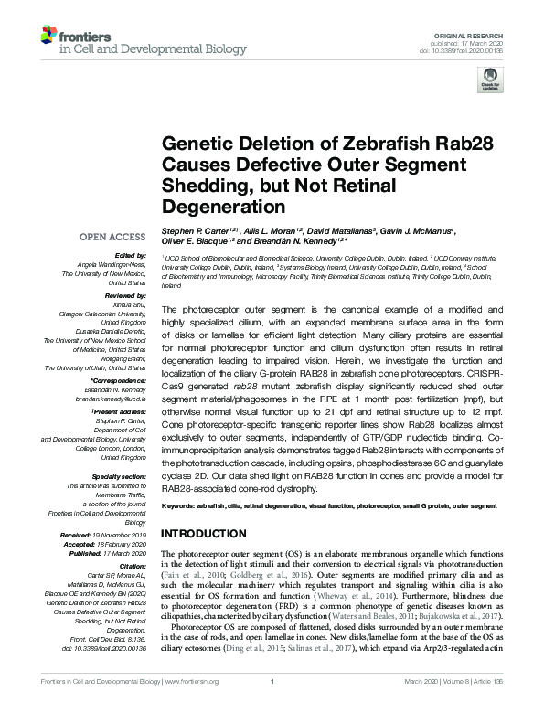 (PDF) Genetic Deletion of Zebrafish Rab28 Causes Defective Outer ...