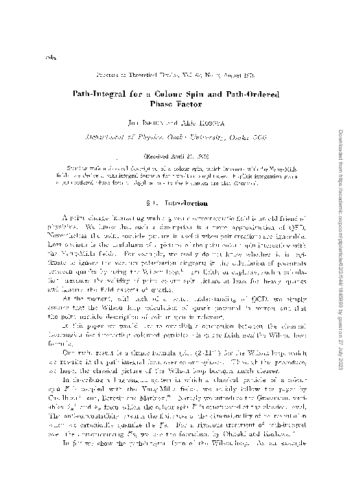 (PDF) Path-Integral for a Colour Spin and Path-Ordered Phase Factor