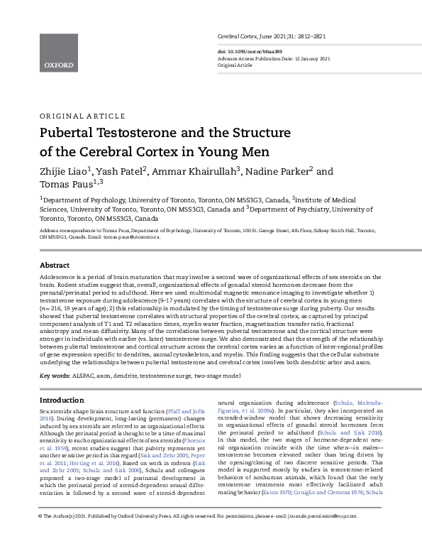 (PDF) Pubertal Testosterone and the Structure of the Cerebral Cortex in ...