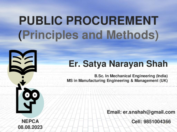 (PDF) Public procurement Principles