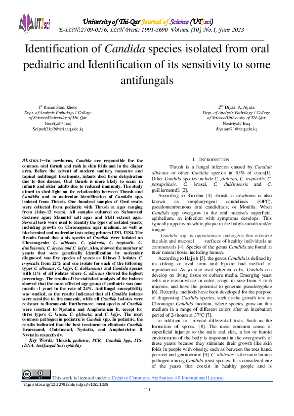 (PDF) Morphology and molecular identification of Candida Species ...
