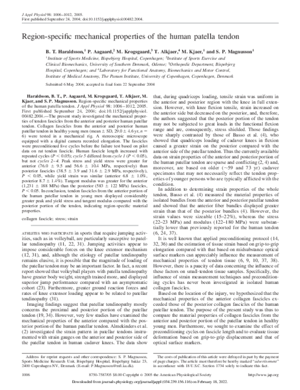 (PDF) Region-specific mechanical properties of the human patella tendon