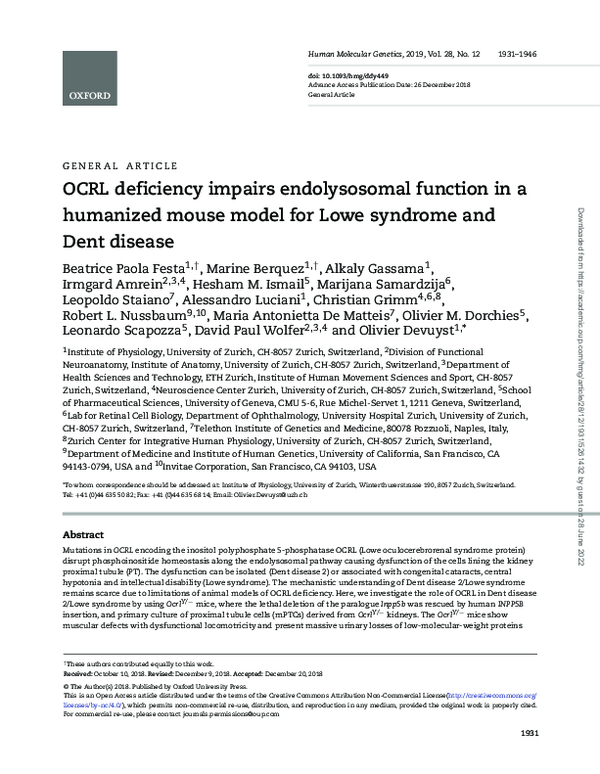 (PDF) OCRL deficiency impairs endolysosomal function in a humanized ...