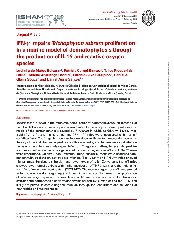 (PDF) IFN-γ impairs Trichophyton rubrum proliferation in a murine model ...