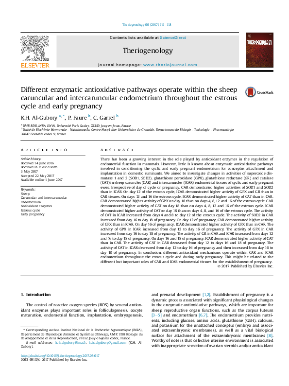 (PDF) Different enzymatic antioxidative pathways operate within the ...