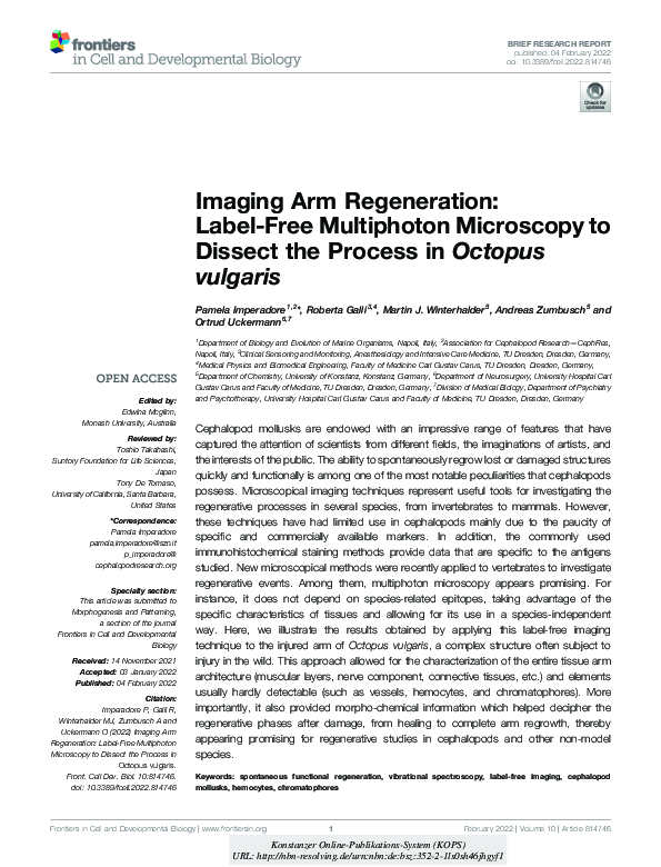 (PDF) Imaging Arm Regeneration: Label-Free Multiphoton Microscopy to ...