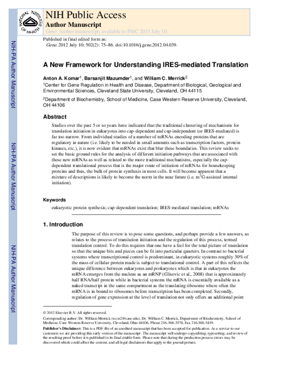 (PDF) A new framework for understanding IRES-mediated translation