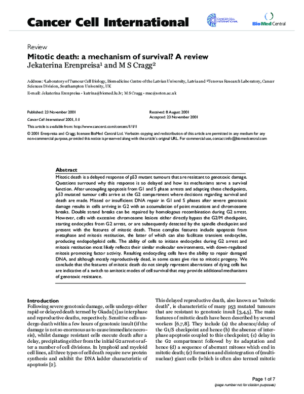 (PDF) Mitotic death: a mechanism of survival? A review