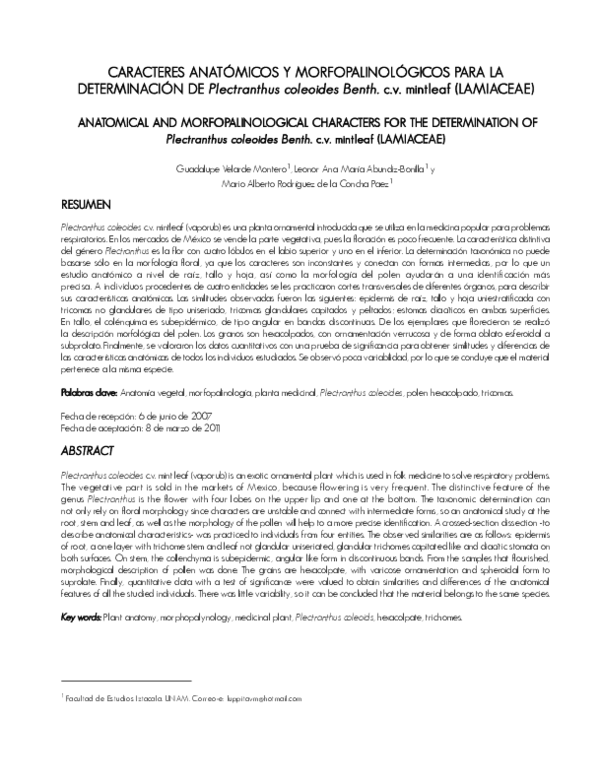 (PDF) CARACTERES ANATÓMICOS Y MORFOPALINOLÓGICOS PARA LA DETERMINACIÓN ...