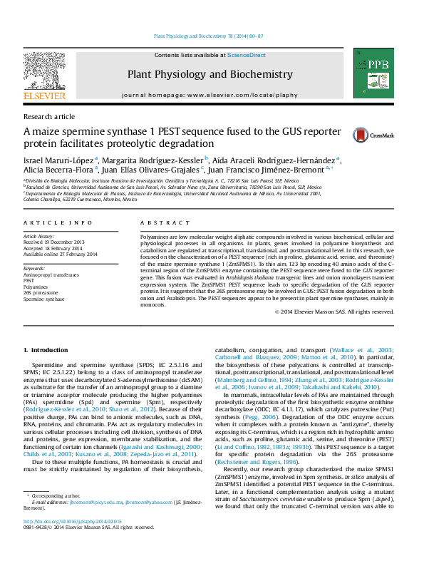 (PDF) A maize spermine synthase 1 PEST sequence fused to the GUS ...