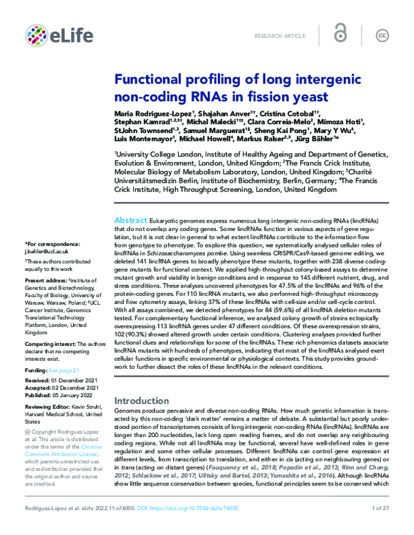 (PDF) Functional profiling of long intergenic non-coding RNAs in fission yeast