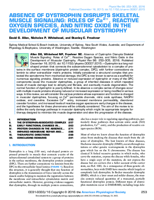 (PDF) Absence of Dystrophin Disrupts Skeletal Muscle Signaling: Roles of Ca2+, Reactive Oxygen ...