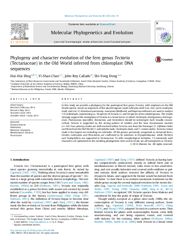 (PDF) Phylogeny and character evolution of the fern genus Tectaria ...