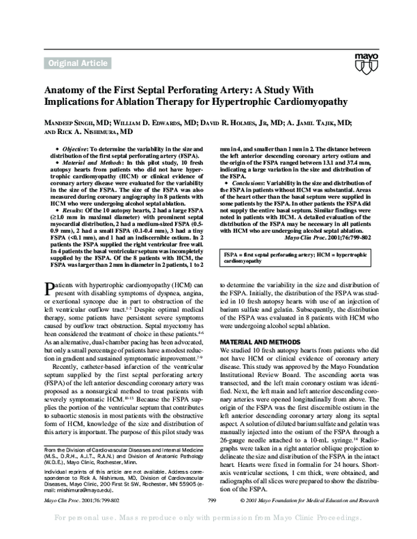 (PDF) Anatomy of the First Septal Perforating Artery: A Study With ...
