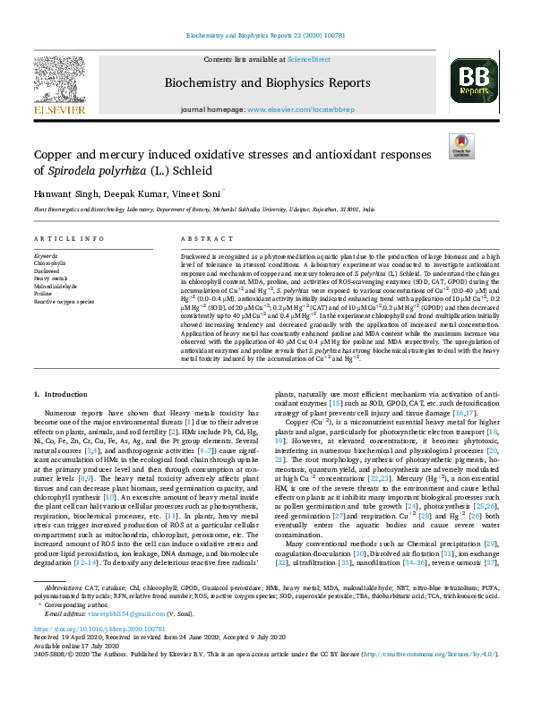 (PDF) Copper and mercury induced oxidative stresses and antioxidant ...