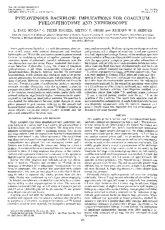(PDF) Pyelovenous Backflow: Implications for Coagulum Pyelolithotomy ...