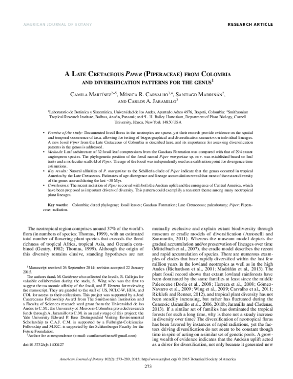 (PDF) A Late Cretaceous Piper (Piperaceae) from Colombia and ...