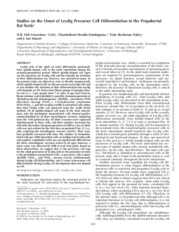 (PDF) Studies on the Onset of Leydig Precursor Cell Differentiation in ...