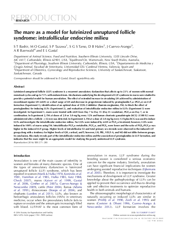 (PDF) The mare as a model for luteinized unruptured follicle syndrome ...