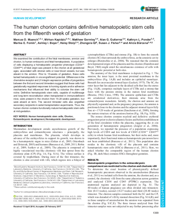(PDF) The human chorion contains definitive hematopoietic stem cells ...
