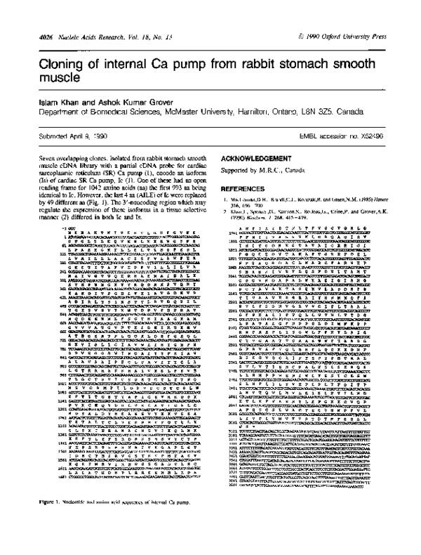 Cloning of internal Ca pump from rabbit stomach smooth muscle