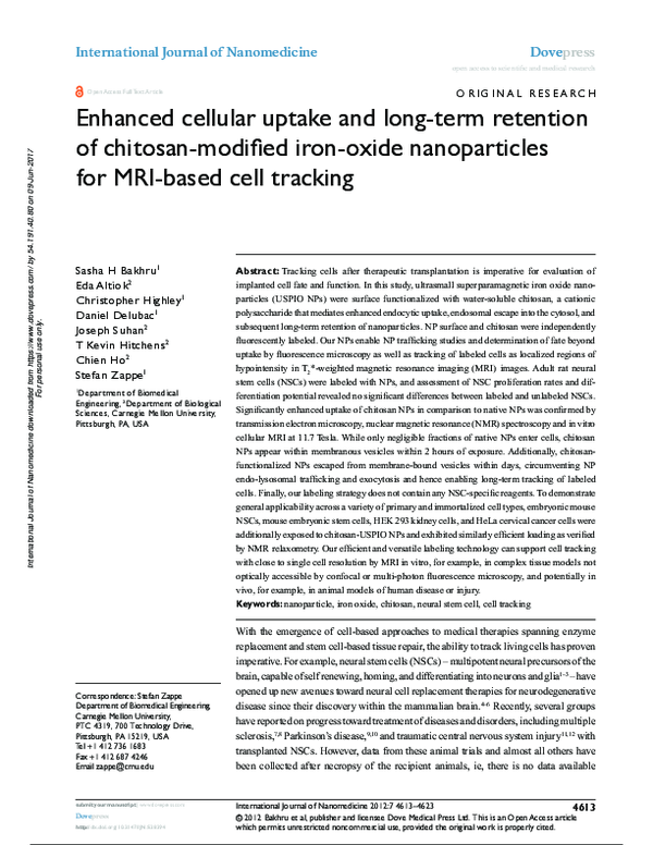 (PDF) Enhanced cellular uptake and long-term retention of chitosan-modified iron-oxide ...