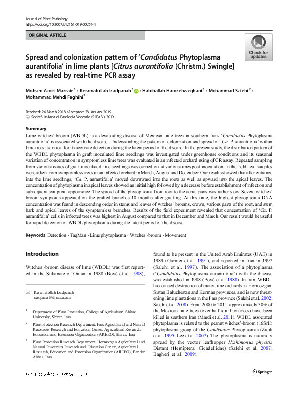 (PDF) Spread and colonization pattern of ‘Candidatus Phytoplasma aurantifolia’ in lime plants ...