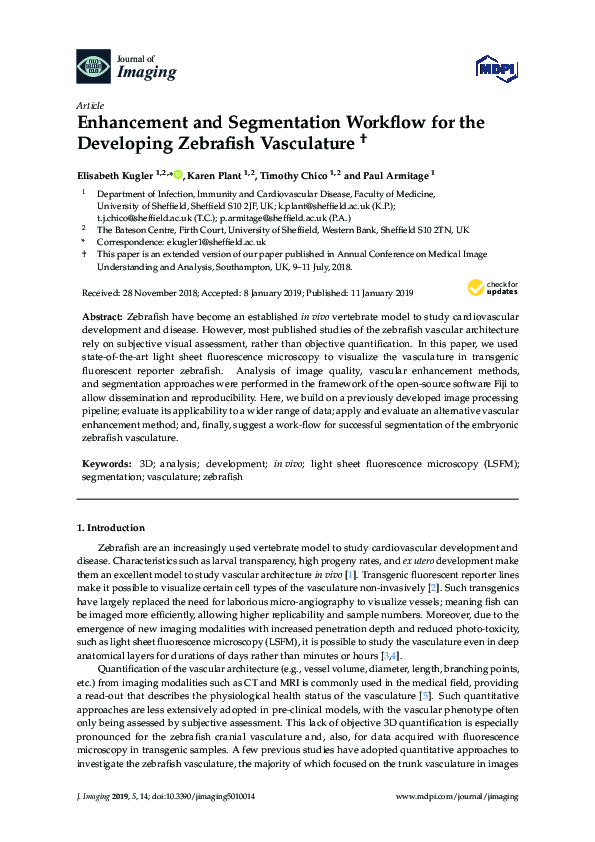 (PDF) Enhancement and Segmentation Workflow for the Developing Zebrafish Vasculature