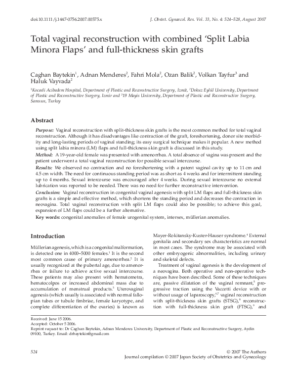 (PDF) Total vaginal reconstruction with combined ?Split Labia Minora ...