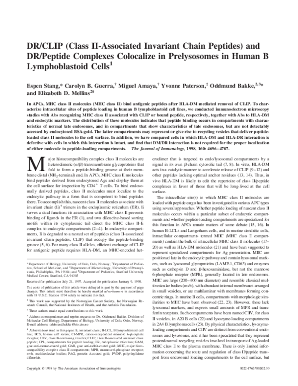 (PDF) DR/CLIP (Class II-Associated Invariant Chain Peptides) and DR ...