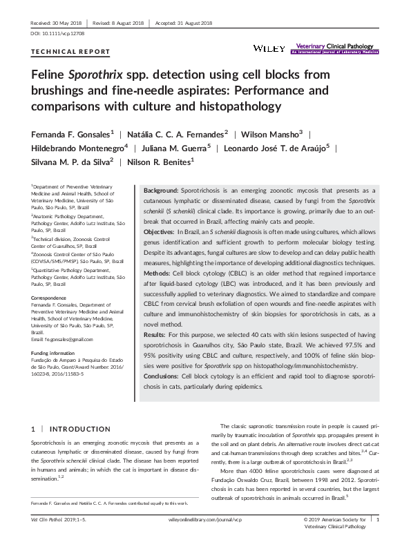 (PDF) Feline Sporothrix spp. detection using cell blocks from brushings ...
