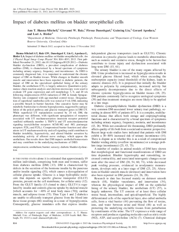 (PDF) Impact of diabetes mellitus on bladder uroepithelial cells